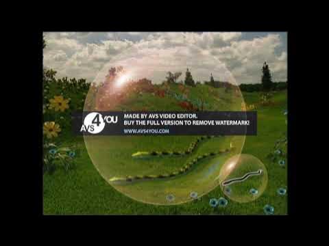 Animal Parade Interactive Bubble Version - YouTube