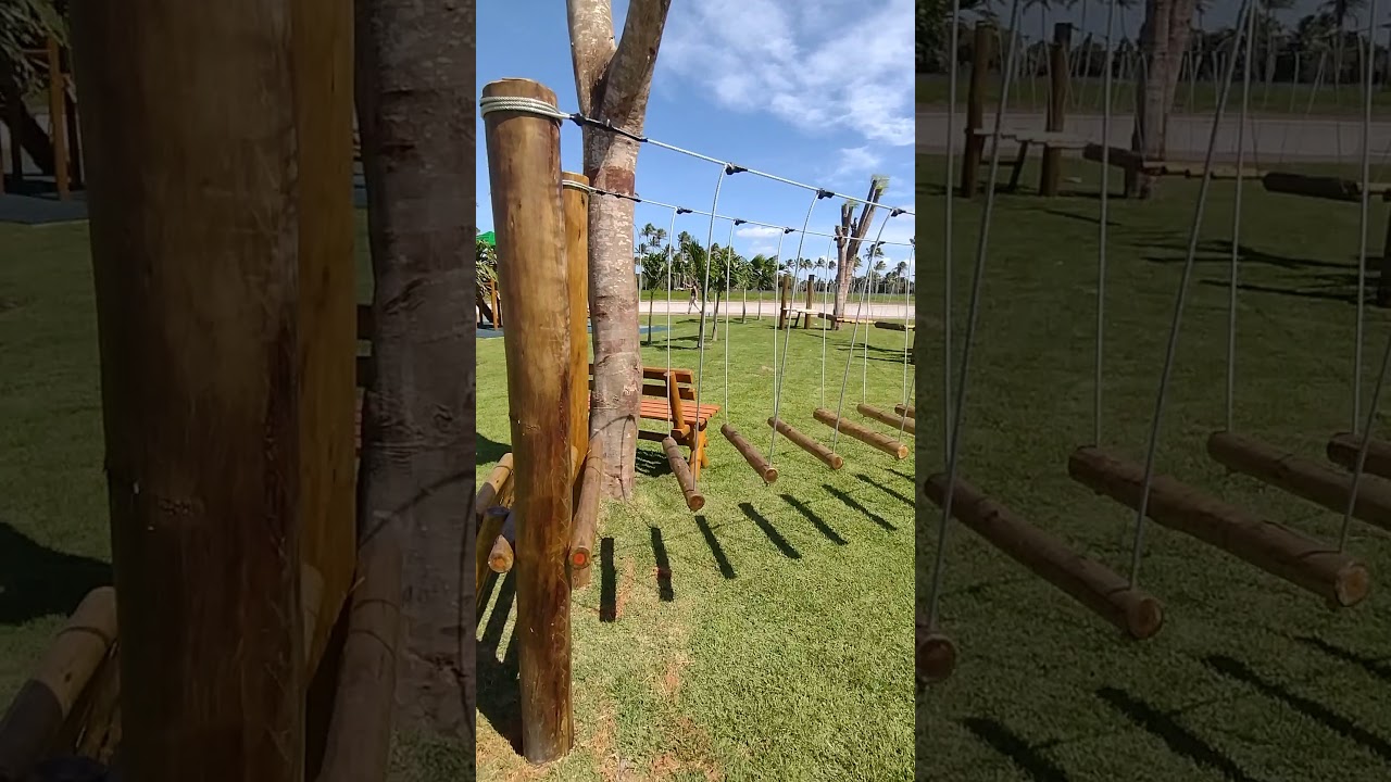 Jason Amaral arvorismo - YouTube