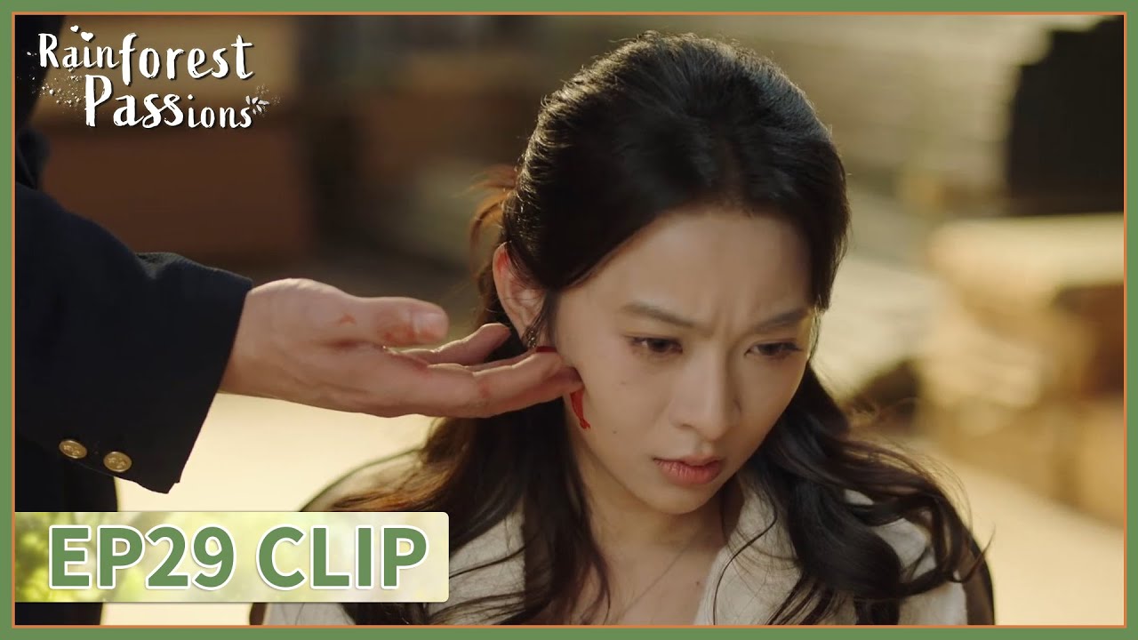 EP29 Clip | His paranoid love sickens her😤| Rainforest Passions | 雨林爱发生 - YouTube