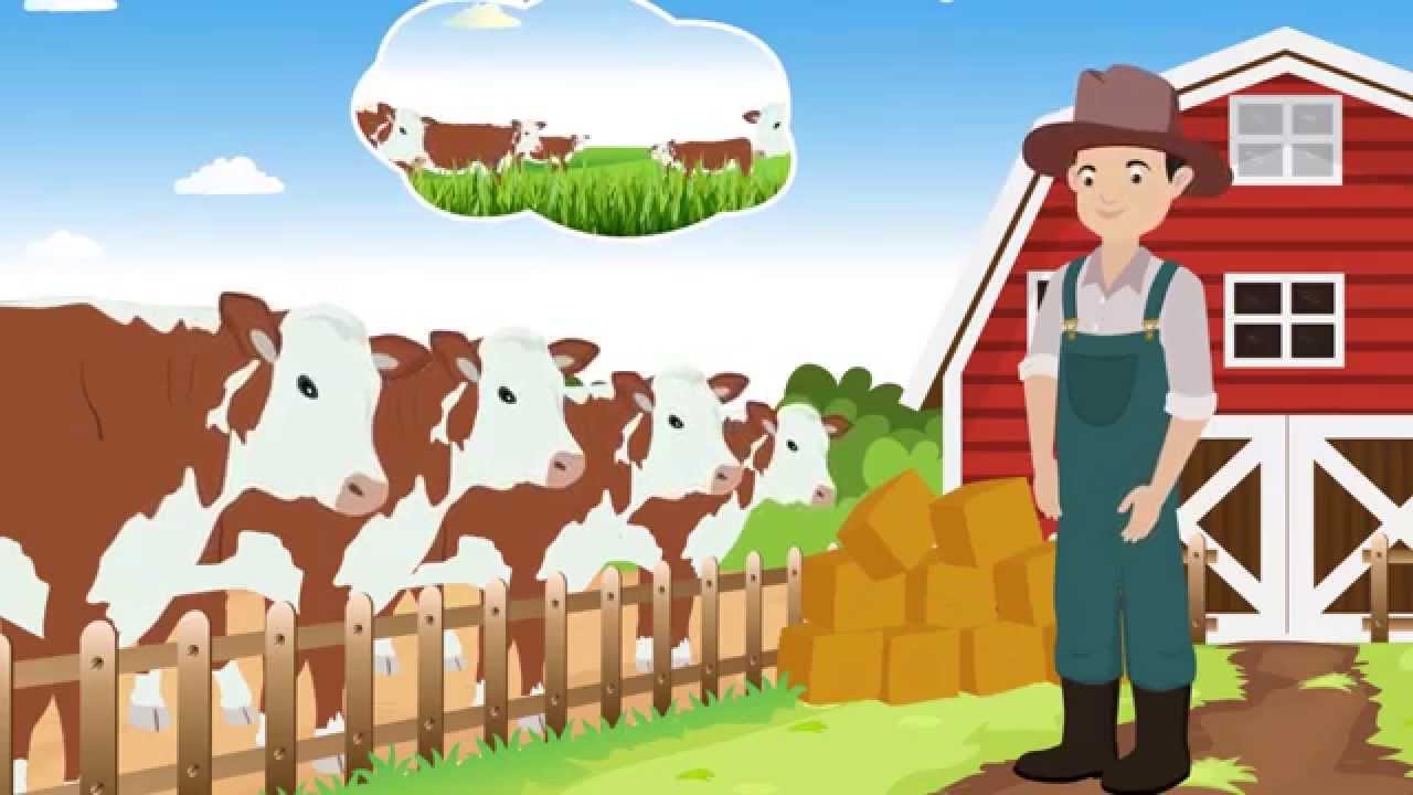 Agist Now - Cattle, Sheep & Horse Agistment - Online Directory - YouTube