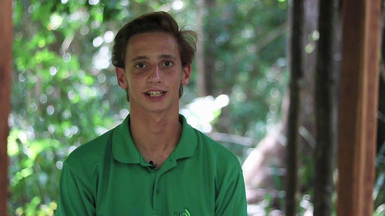 Olas Verdes: a sustainable hotel in Nosara Costa Rica - YouTube