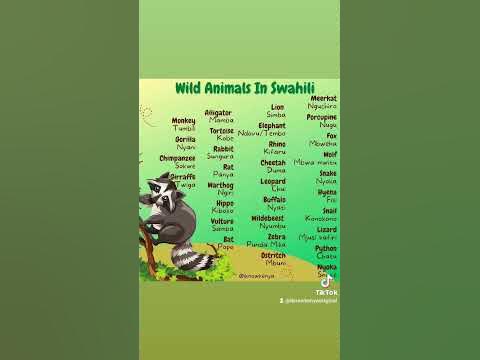 Wild animals in Swahili #kenya #wildanimals #kiswahilirahisi #kenya # ...
