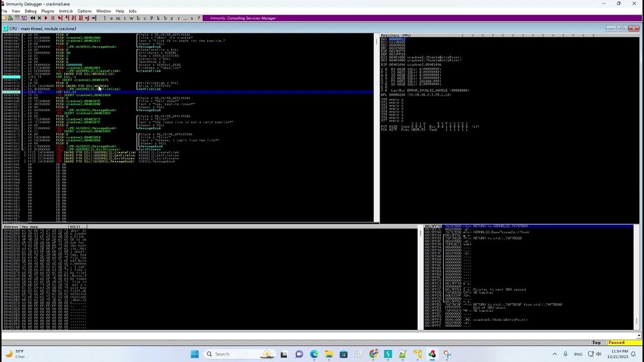 Reverse engineering - Immunity Debugger - NASS CCS - YouTube