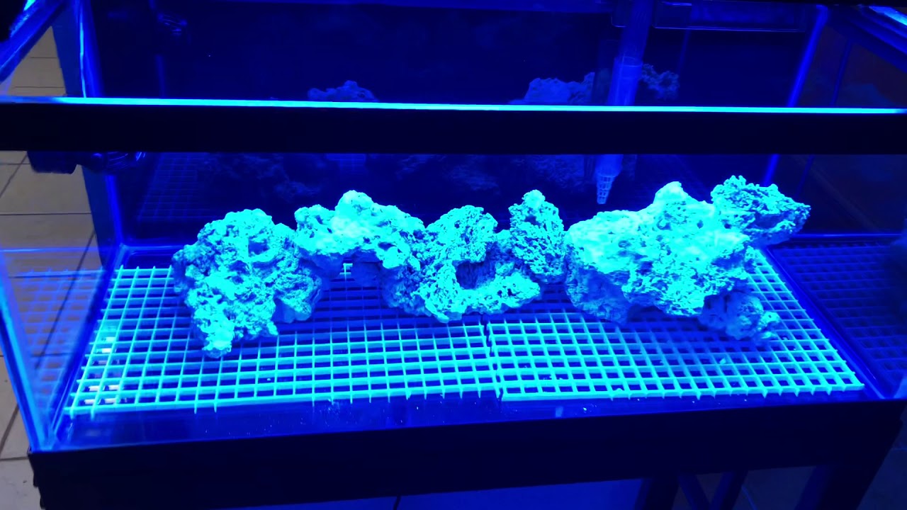 Reef Tank Setup Day 2: Dry Rock! - YouTube