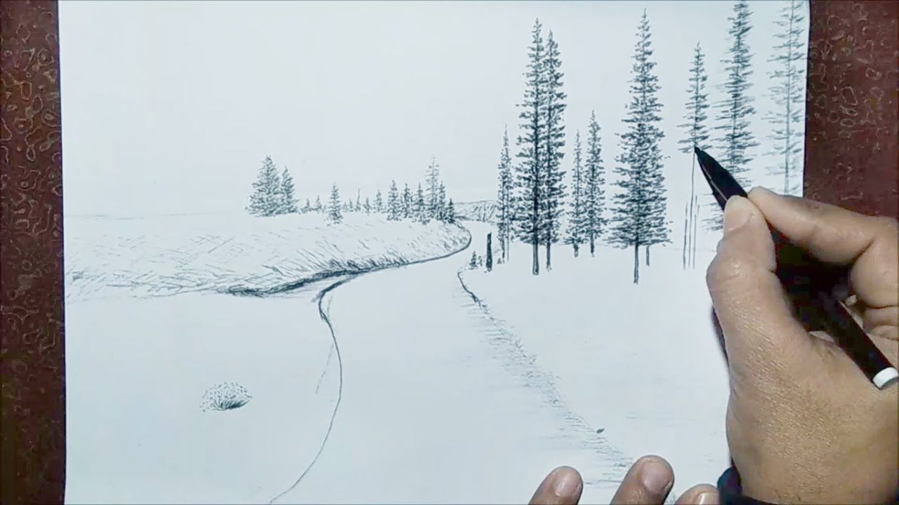 How to Draw River Running Through Pine Forest - YouTube