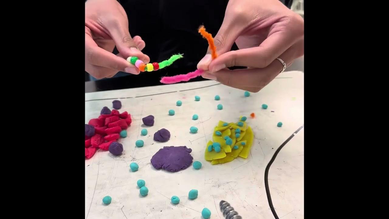 Biology mini project: protein synthesis - YouTube