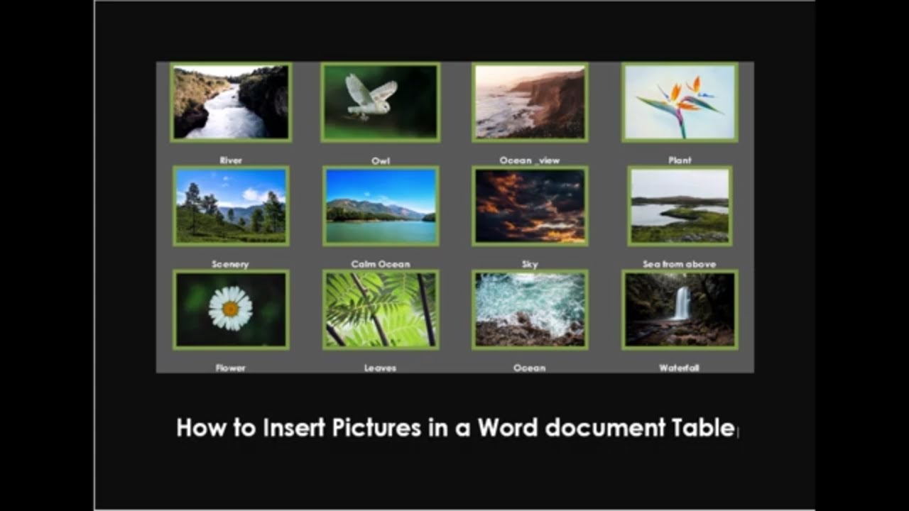How To Arrange Photos In A Word Document Table YouTube how-to-arrange-photos-in-a-word-document-table-youtube