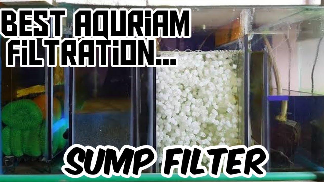 Best Filtration For Your Aquarium(Sump Filter) - YouTube