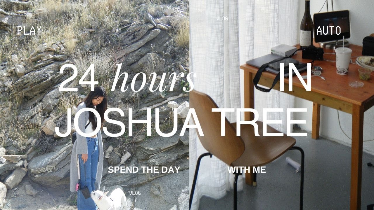24 hour staycation in Joshua Tree | my frenchie, national park ...