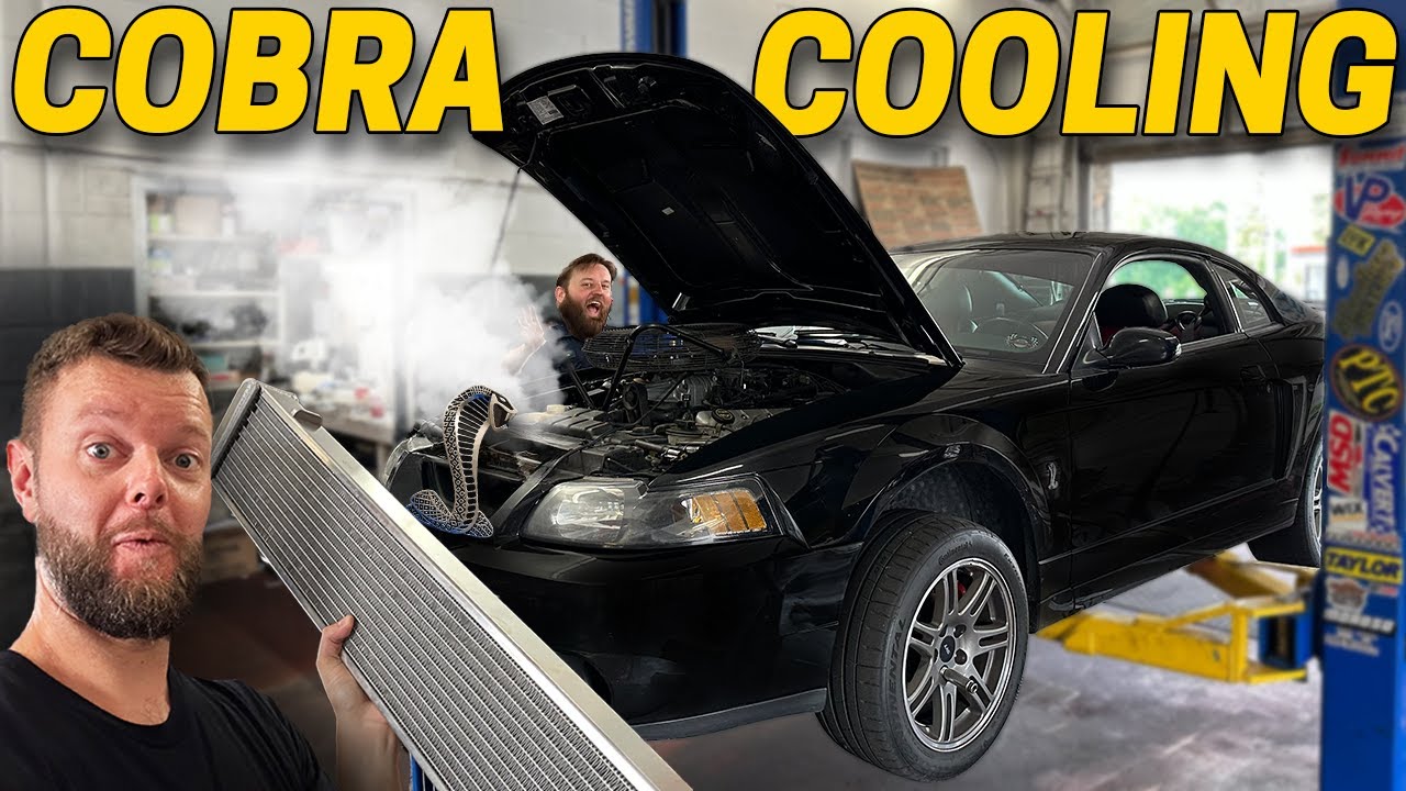 Making my CHEAP Terminator Cobra COOLER! - YouTube