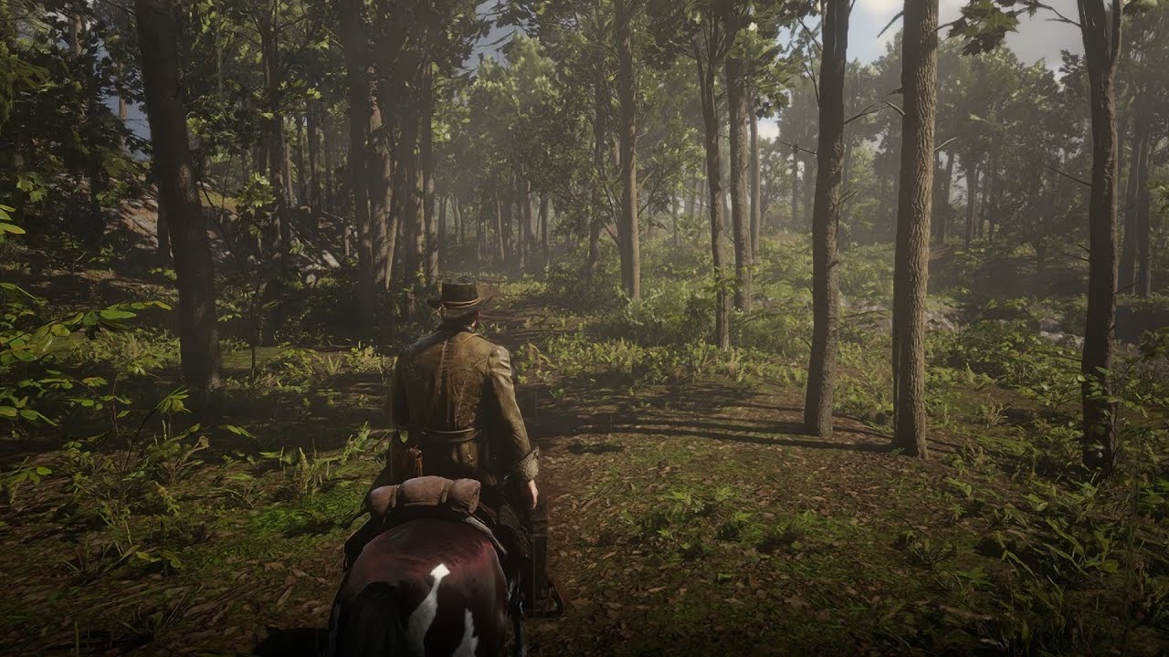 Red Dead Redemption 2 Realistic HDR Graphics Preset MOD - YouTube