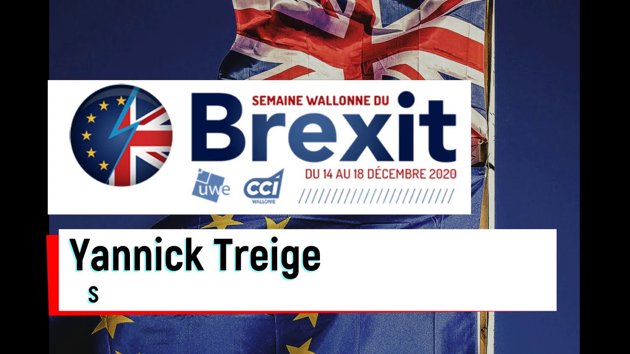 SEMAINE WALLONNE DU BREXIT 15 décembre - Yannick Treige - YouTube