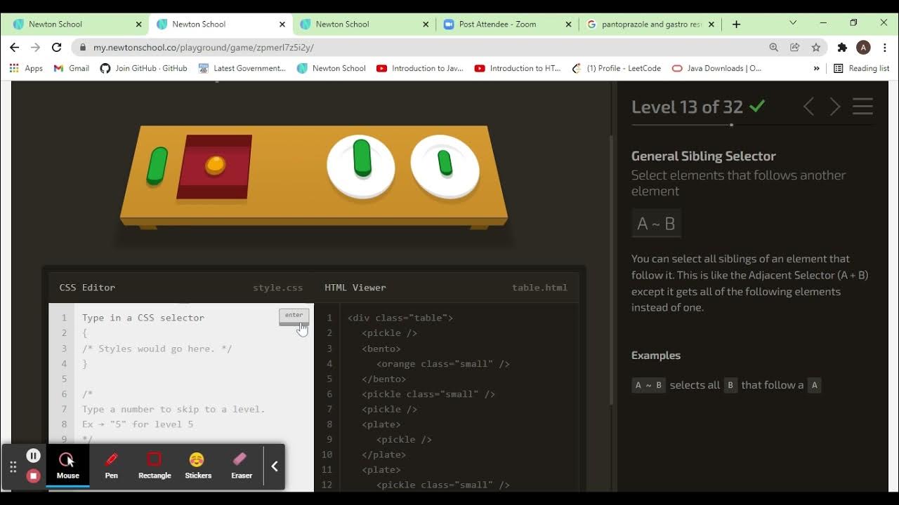 CSS SELECTOR PLATE(Newton school css assignment) - YouTube