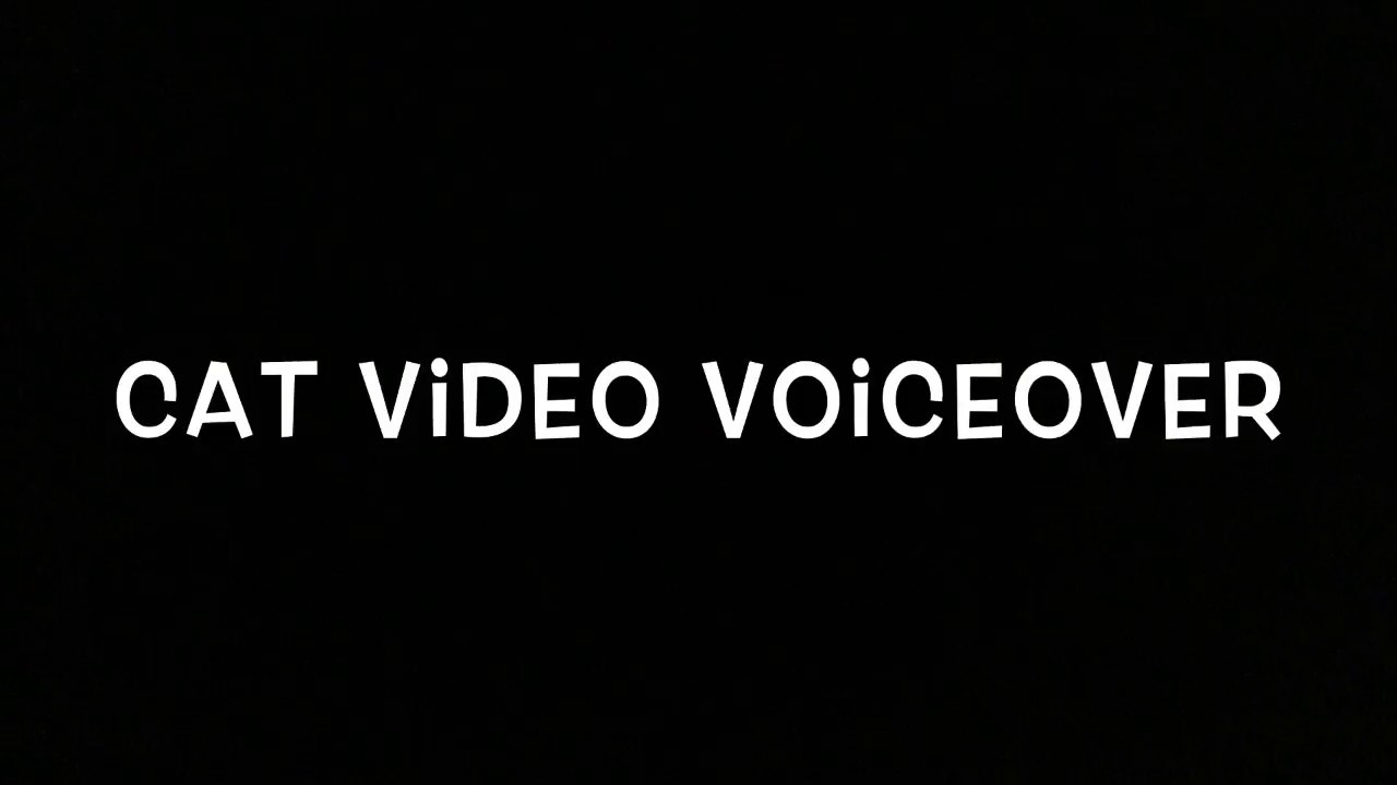 Cat Voice Over - YouTube