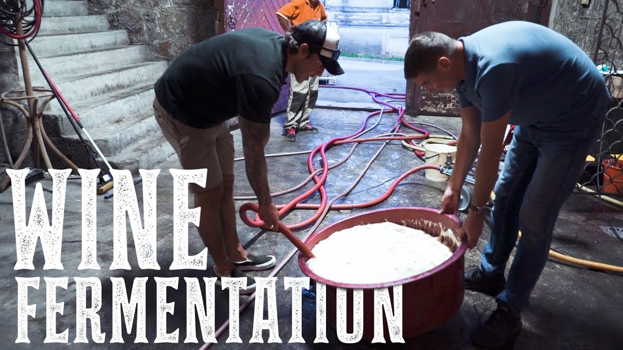Wine Making - Most Important Step of the Process - YouTube
