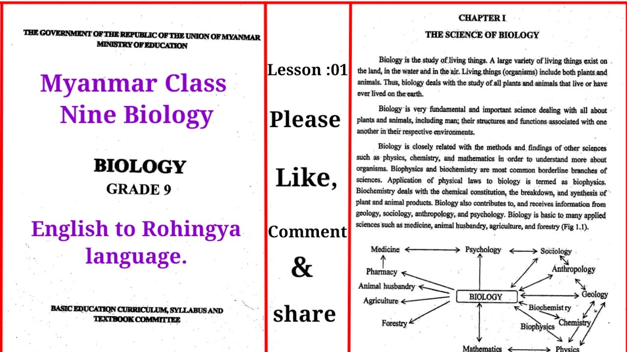 Myanmar Grade 09 Nine Biology Lesson : 01 The Science of Biology ...