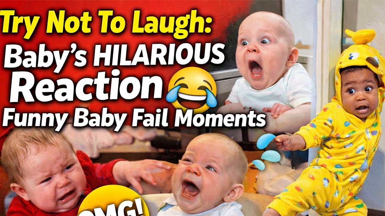 Try Not To Laugh: Baby’s HILARIOUS Reaction 🤣 Funny Baby Fail Moments ...