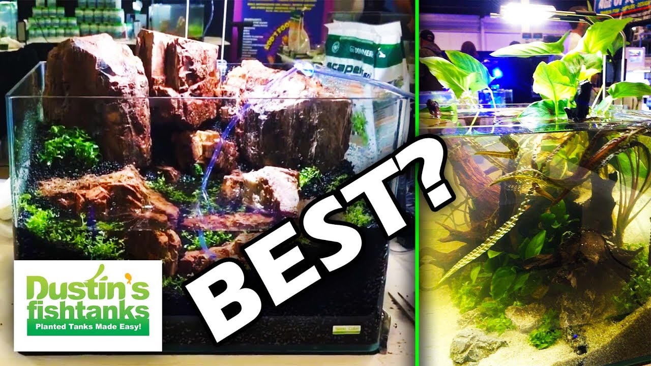 AMAZING Aquariums....Aquascaping CONTEST! - YouTube