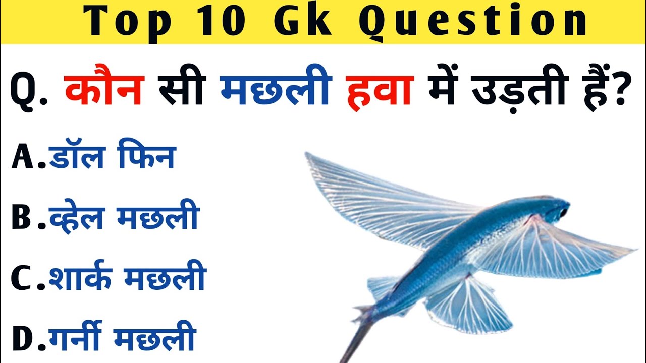 Most Important Gk Question | Most Brilliant Gk Question | Gk Question ...