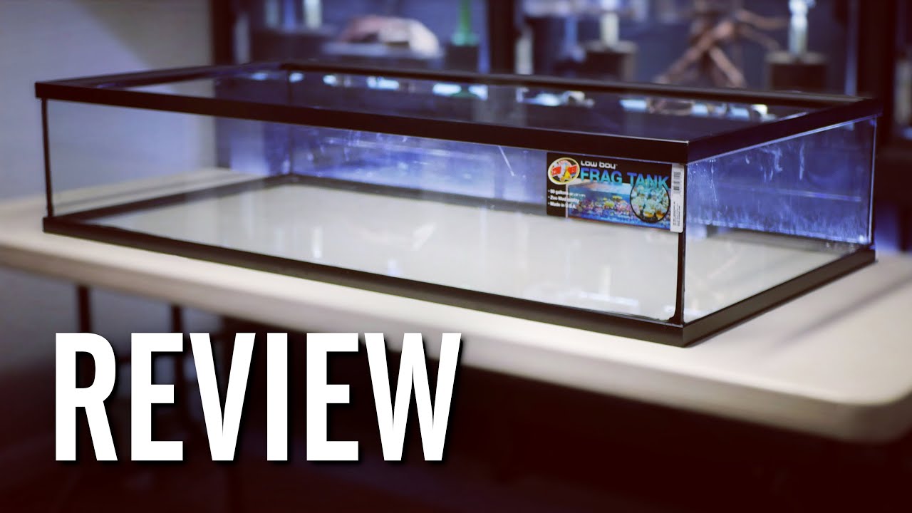 Zoo Med 50 Gallon Low Boy Flat Aquarium Review - YouTube