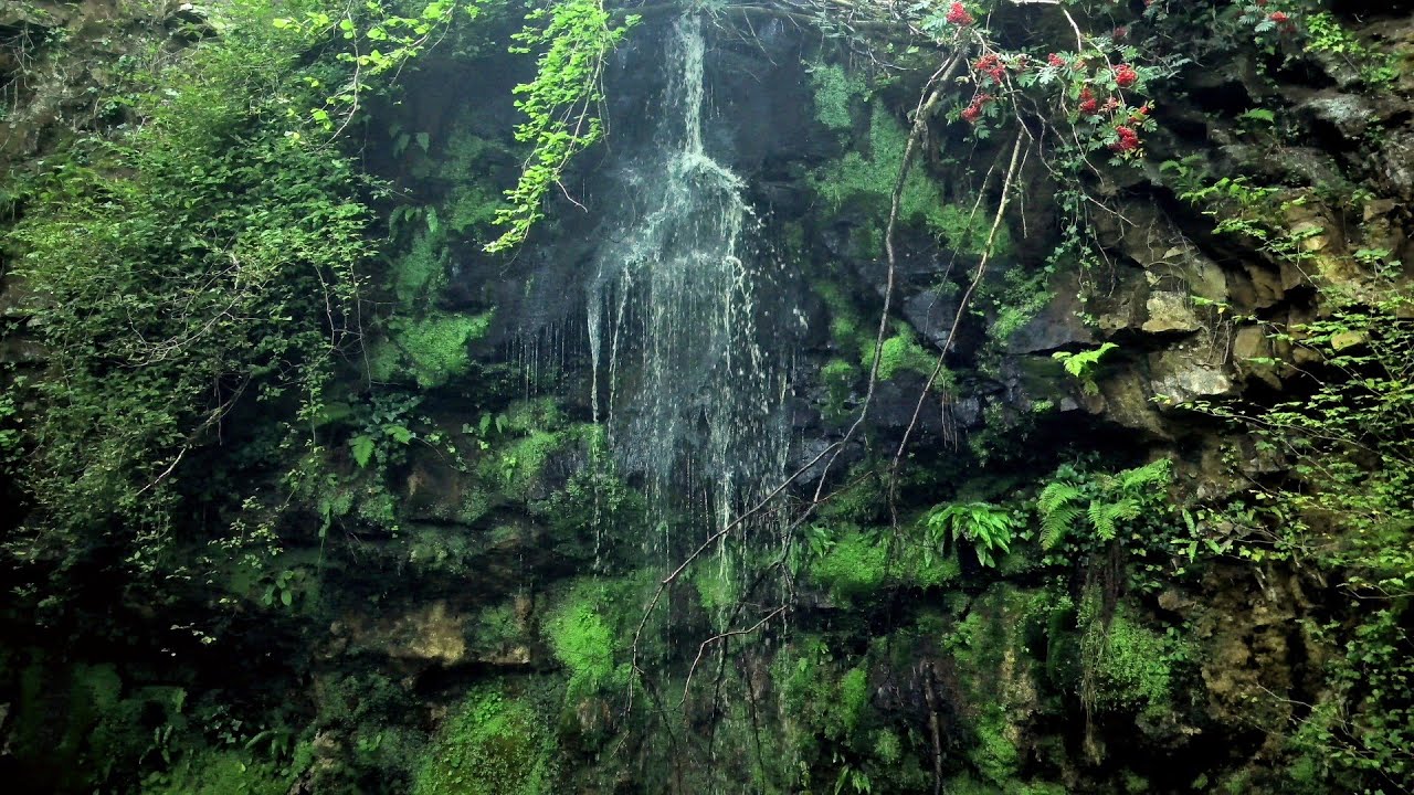 Blackslee Waterfall Walk Fermanagh #loughnavarforest #maghoviewpoint ...