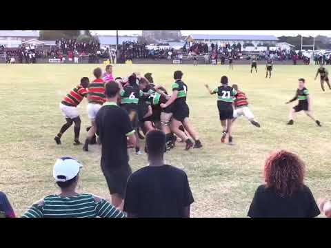 Nico Steyn - YouTube