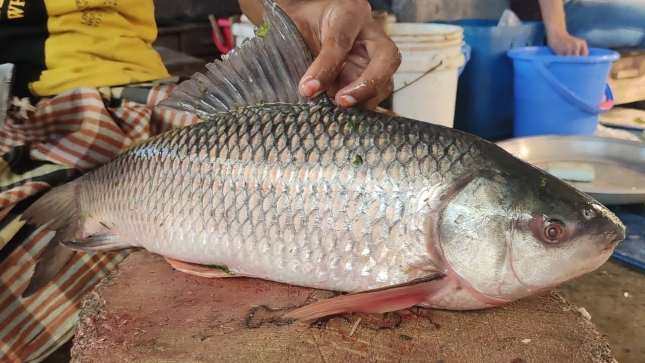 Big Rohu Fish Skinning & Chopping B y Expert Fish Cutter | Amazing Fish ...