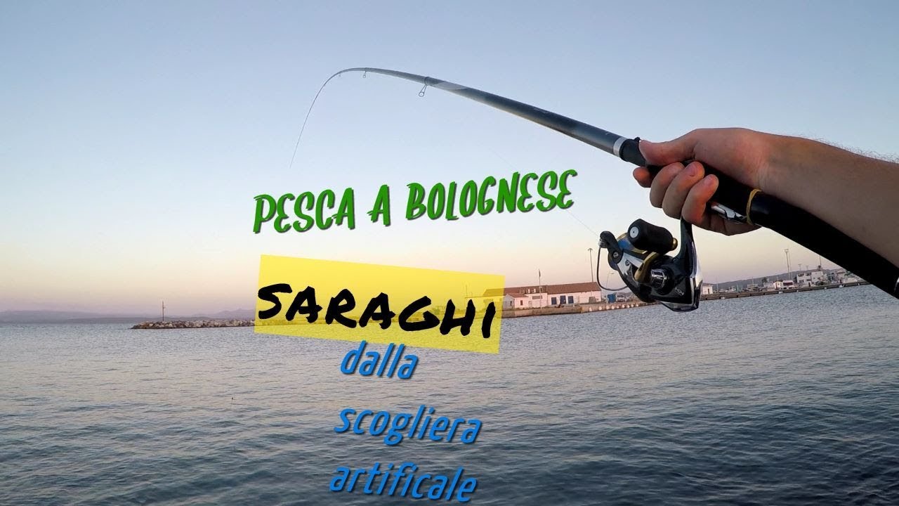 PESCA A BOLOGNESE. Saraghi Dalla Scogliera Artificiale. Amorphous ...