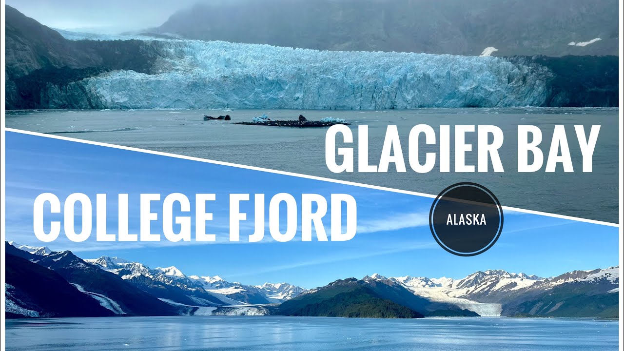 Cruise to Alaska - Glacier Bay National Park | College Fjords - YouTube
