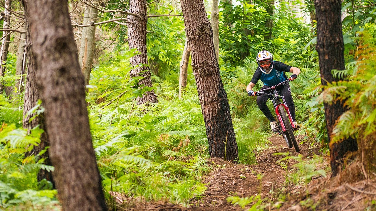 771 - Day 6 - Riding sui trails di Belmonte Calabro in compagnia dei ...