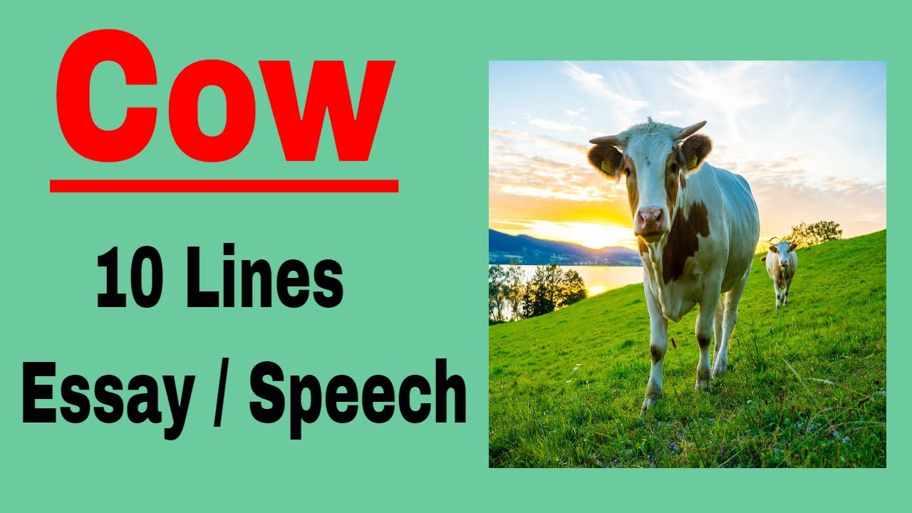 Cow essay in English 10 lines | Short speech on cow in English. - YouTube