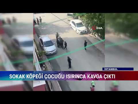 SOKAK KÖPEĞİ ÇOCUĞU ISIRINCA KAVGA ÇIKTI