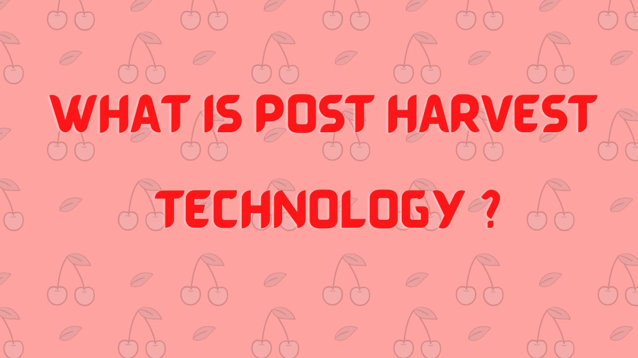 What is Post Harvest Technology ? - YouTube