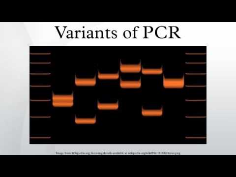 Variants of PCR - YouTube