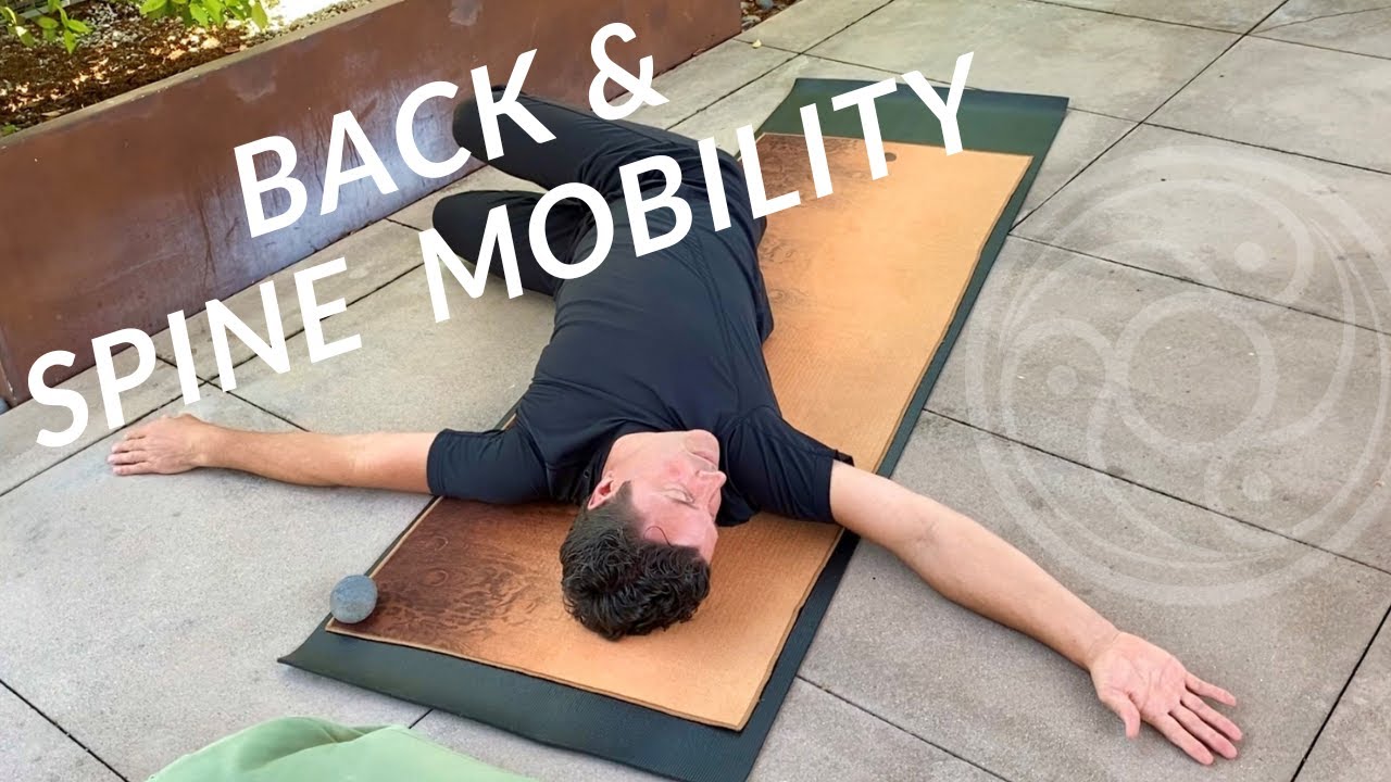 Spine Mobility ~ 2 somatic movements for back pain. SMFs: Somatic ...