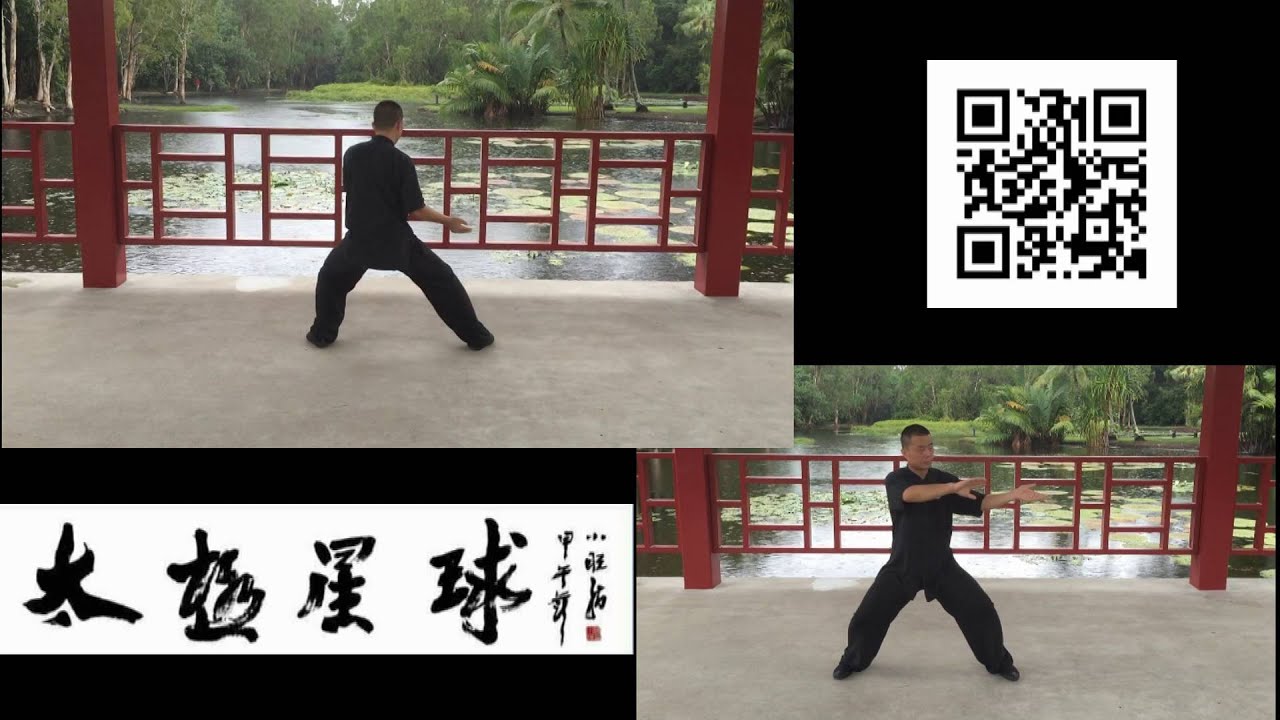 Tai Chi Basics - 19 Movement - YouTube