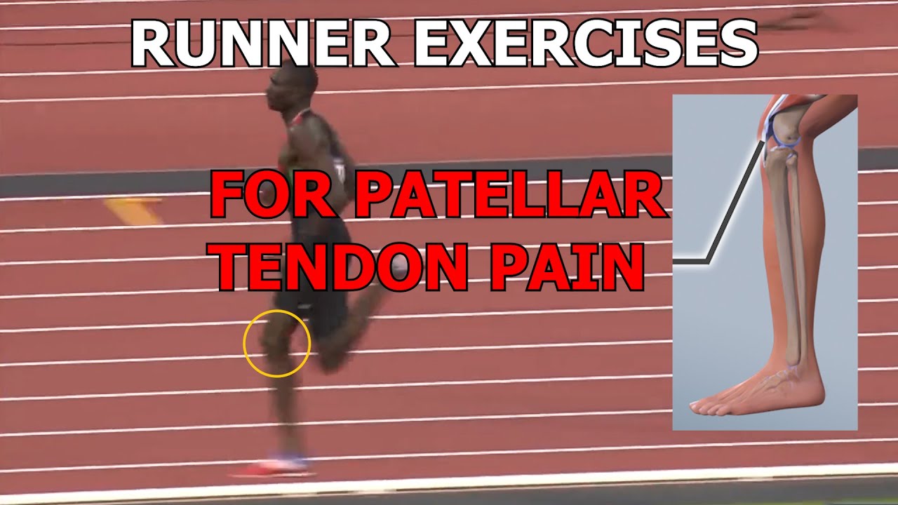 Runner Exercises: For Patellar Tendon Pain/Irritability - YouTube