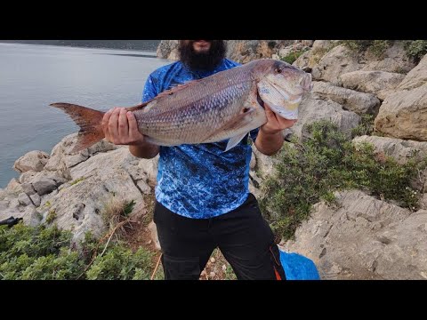 ΒΓΗΚΕ ΤΟ ΤΕΡΑΣ!!! | ΒΟΙΩΤΙΑ FISHING | SHORE JIGGING GREECE - YouTube