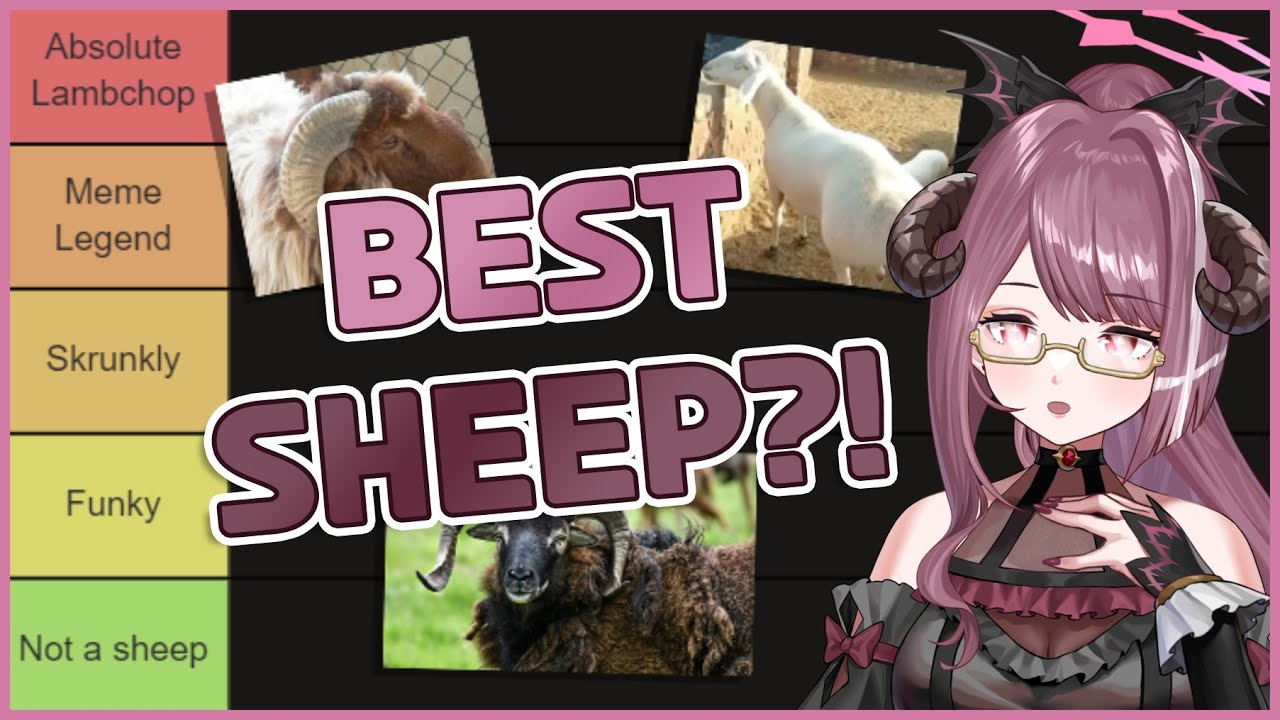 Sheep VTuber ranks IRL Sheep - YouTube