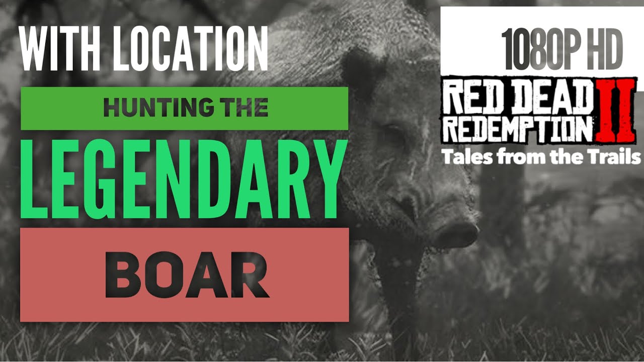 Red Dead Redemption 2: Hunting the Legendary Boar Location | 1080p HD ...