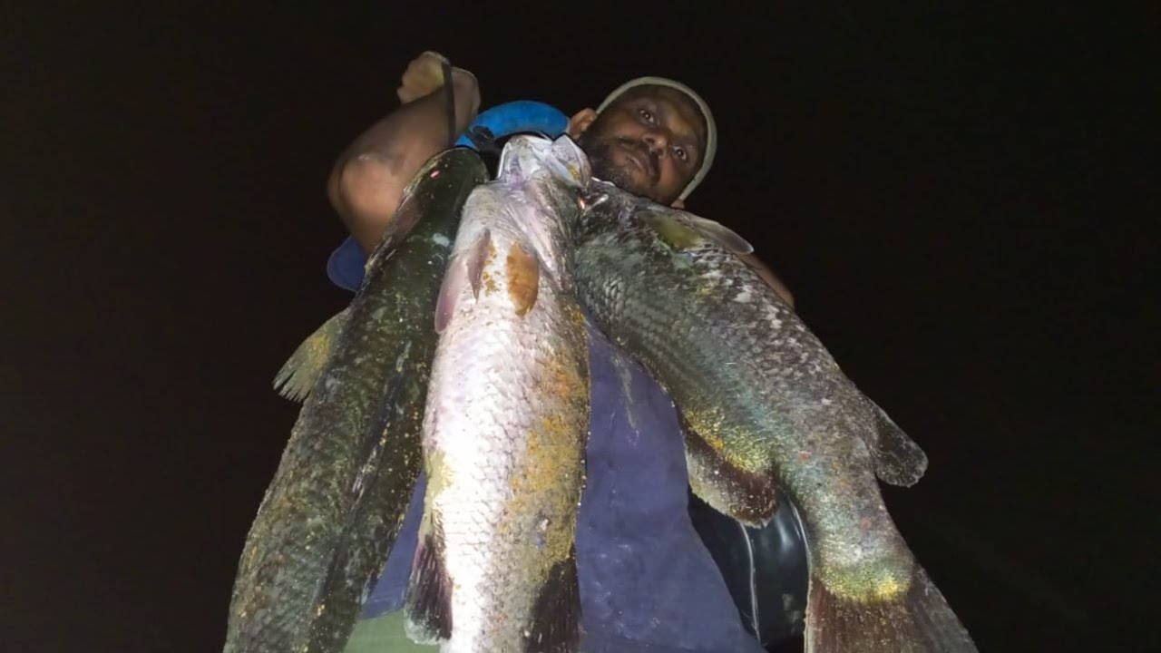 Catching Big Dangri/Baramundi Fish at DO Dariya | Fishing in Karachi ...