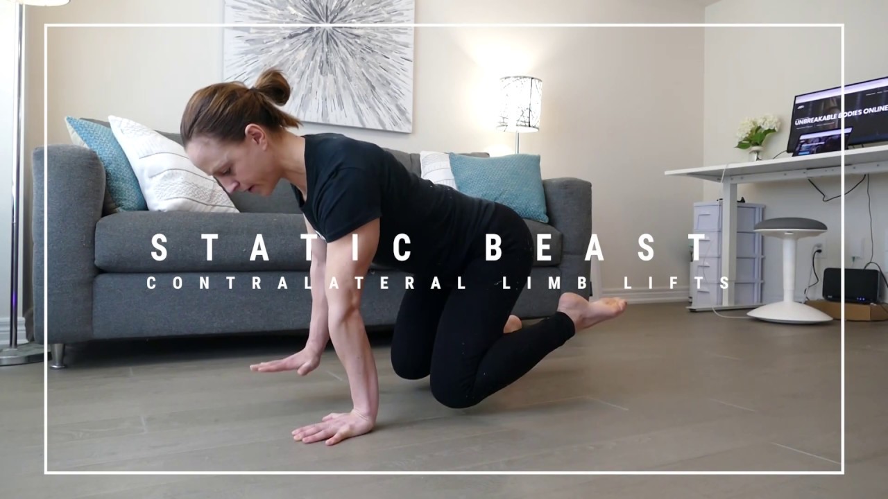 Beast with Contralateral Limb Lifts - YouTube