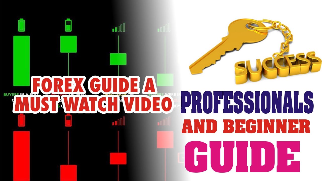Best Forex trading guide for beginners and professionals, high win trading 99% success - YouTube