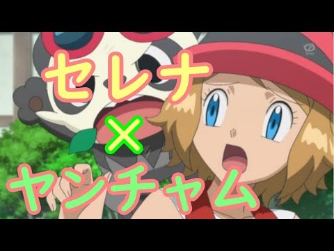 【ゆっくり解説　ポケモン】ポケットモンスターのヒロインのポケモンでバトルしてみよう紹介編② ～ セレナ　ヤンチャム～