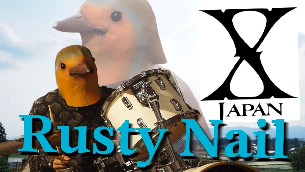 X JAPAN “Rusty Nail” 叩いてみた - YouTube