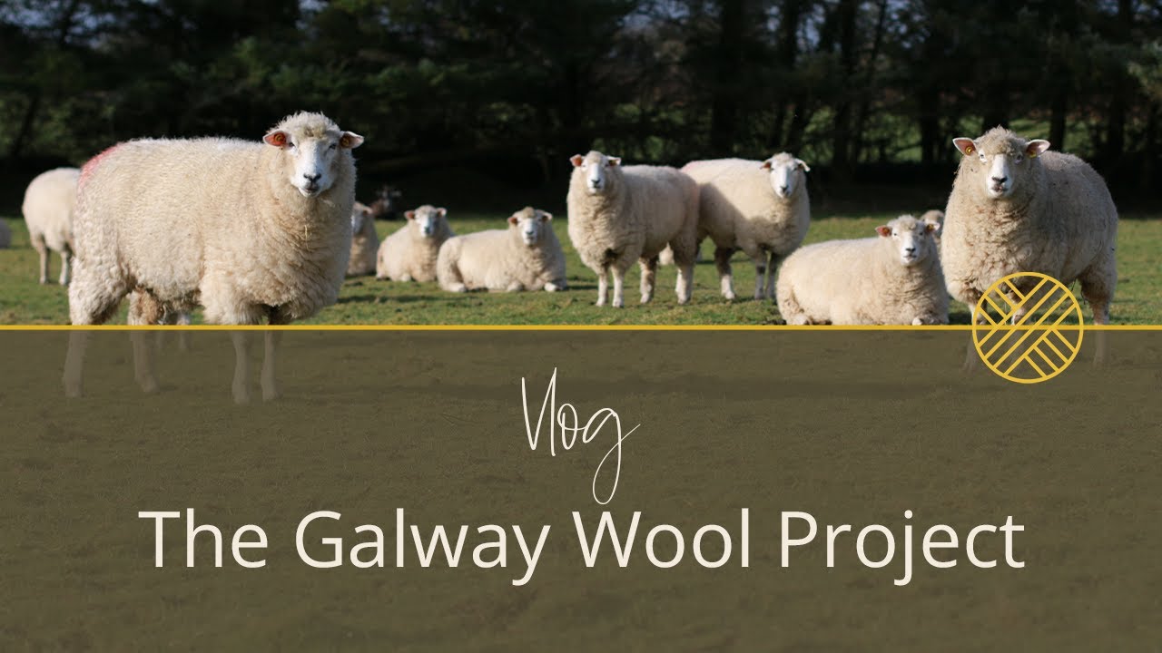 Unveiling the Secret of the Galway Wool Project! | Stolen Stitches Vlog ...