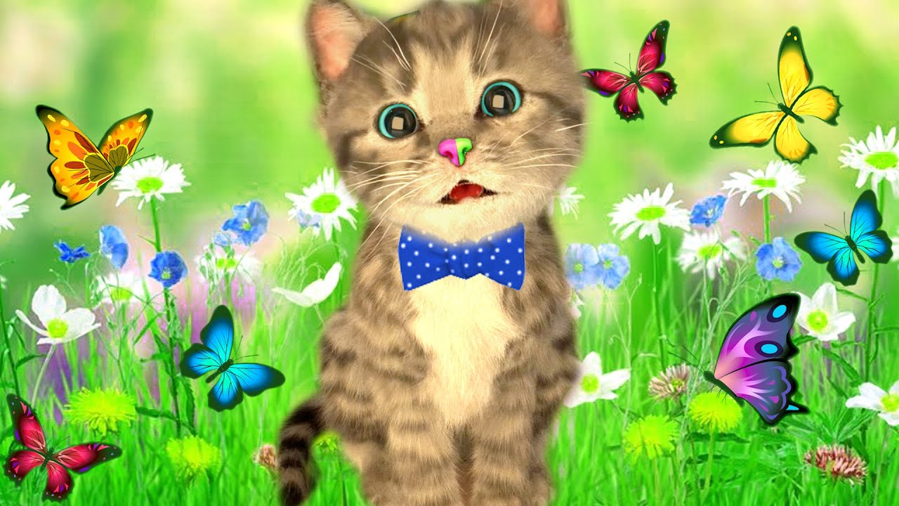 CUTE KITTEN LITTLE CAT ADVENTURE GAMEPLAY - PLAY KITTY PRESCHOOL ...