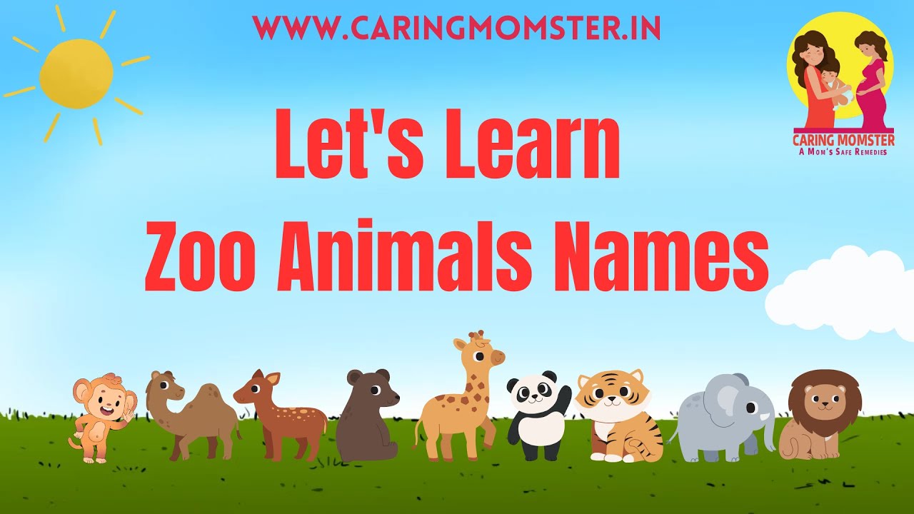 Animal Names- Zoo Animal names in english @Caring Momster - YouTube