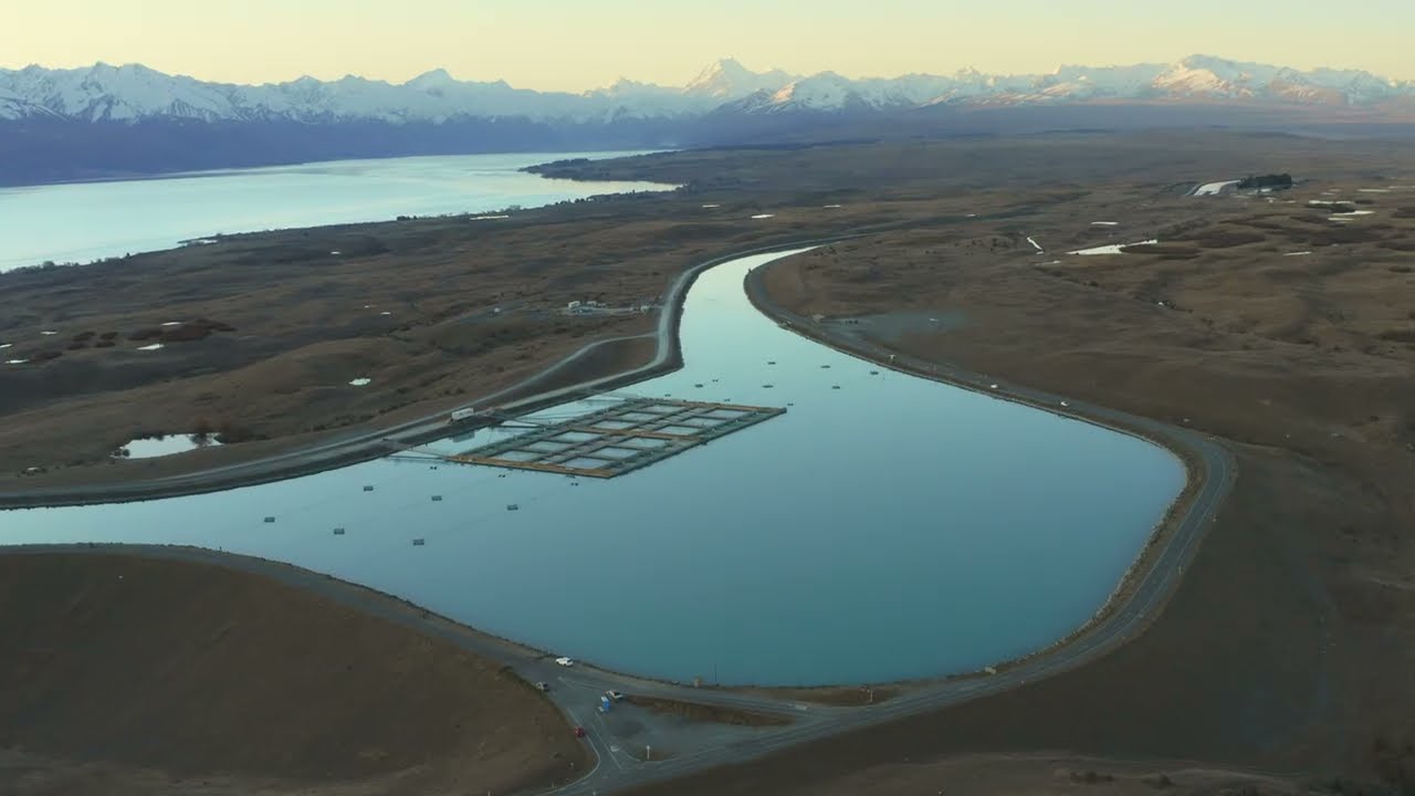 Mt Cook Alpine Salmon Farms - YouTube