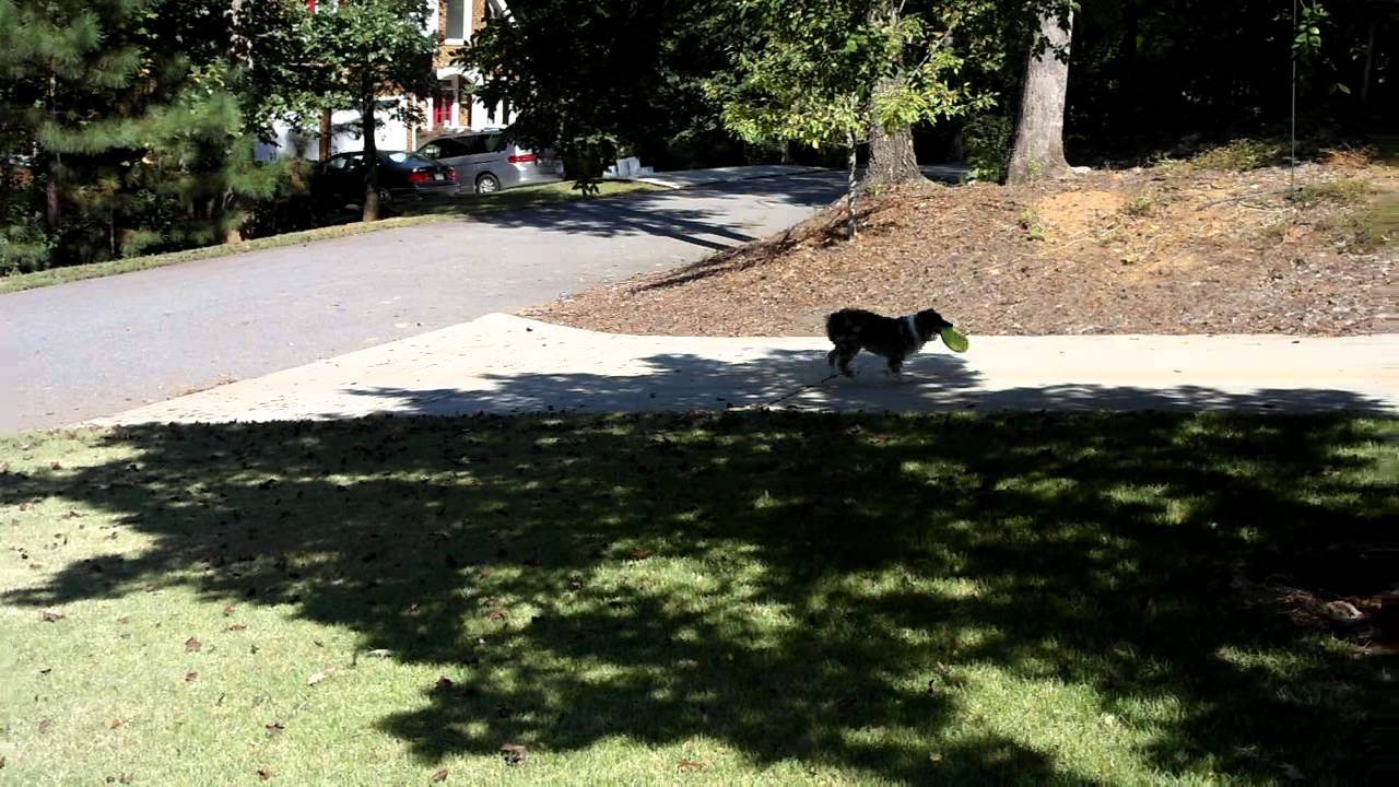 Samsung NX1000 / 720 / 30p / sample video